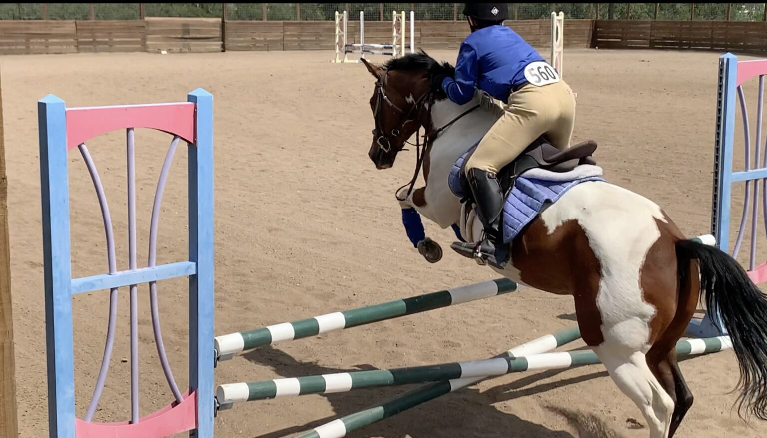 Riding Lessons – Academy Stables
